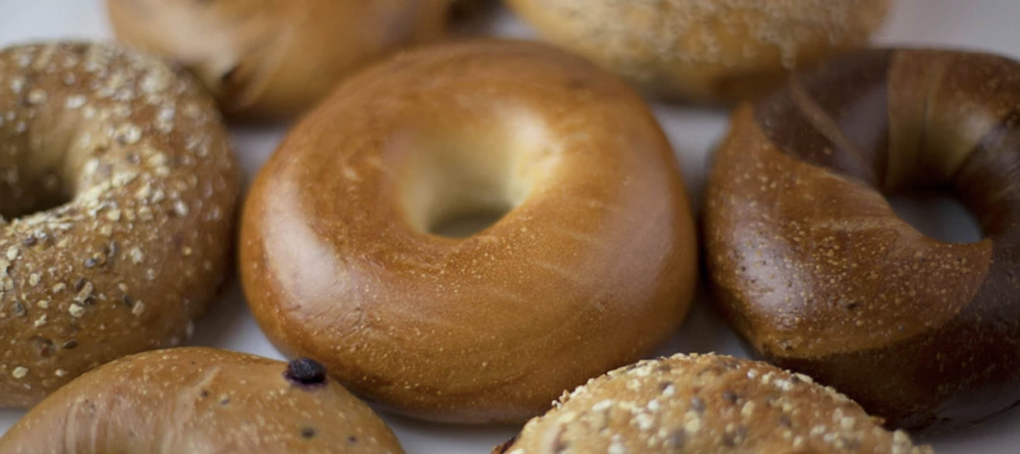 NYC Bagels - Savory Options from New Yorker Bagels
