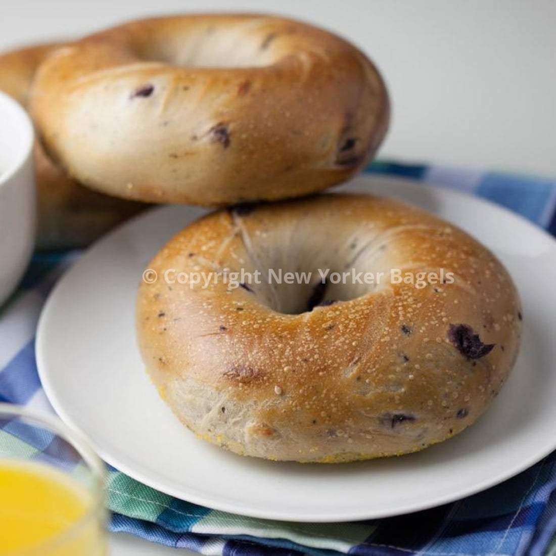 Blueberry Bagels - Fresh from New York City